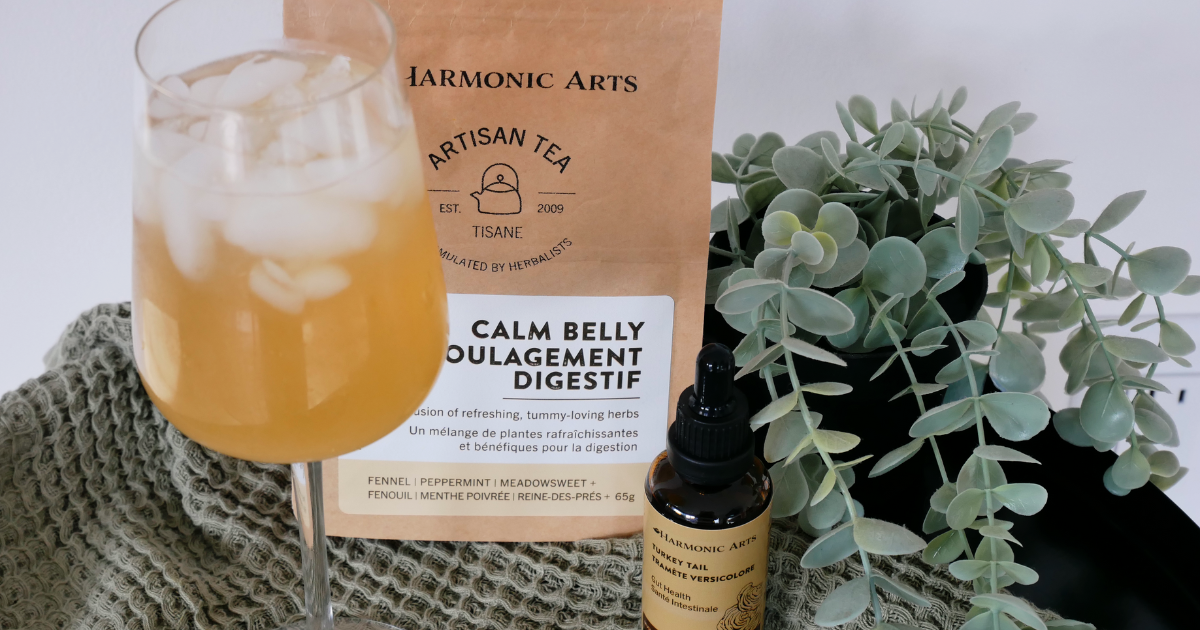 Calm Belly Mocktail with Turkey Tail – Harmonic Arts