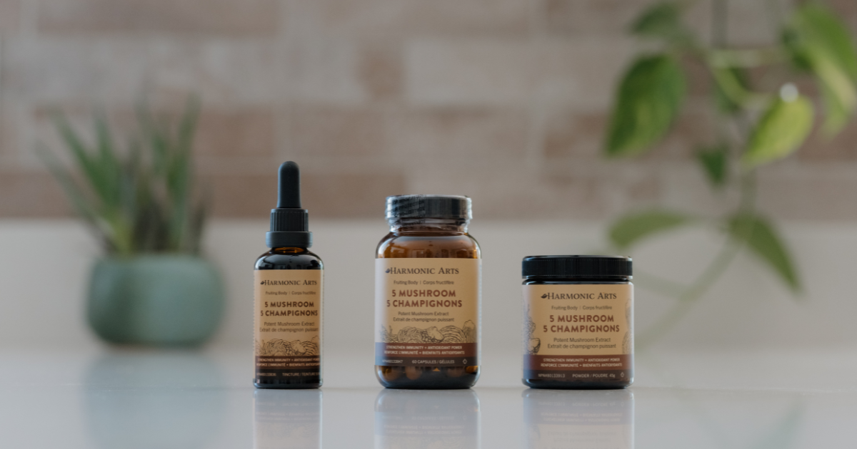 Mycelium vs. Fruiting Body: What Makes a Full Spectrum Mushroom Supple ...