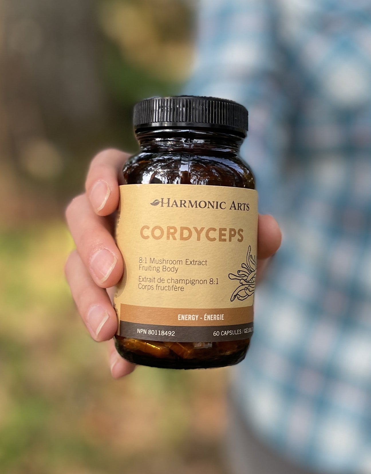 Cordyceps Mushroom Powder - Nature's Energy Booster – Harmonic Arts