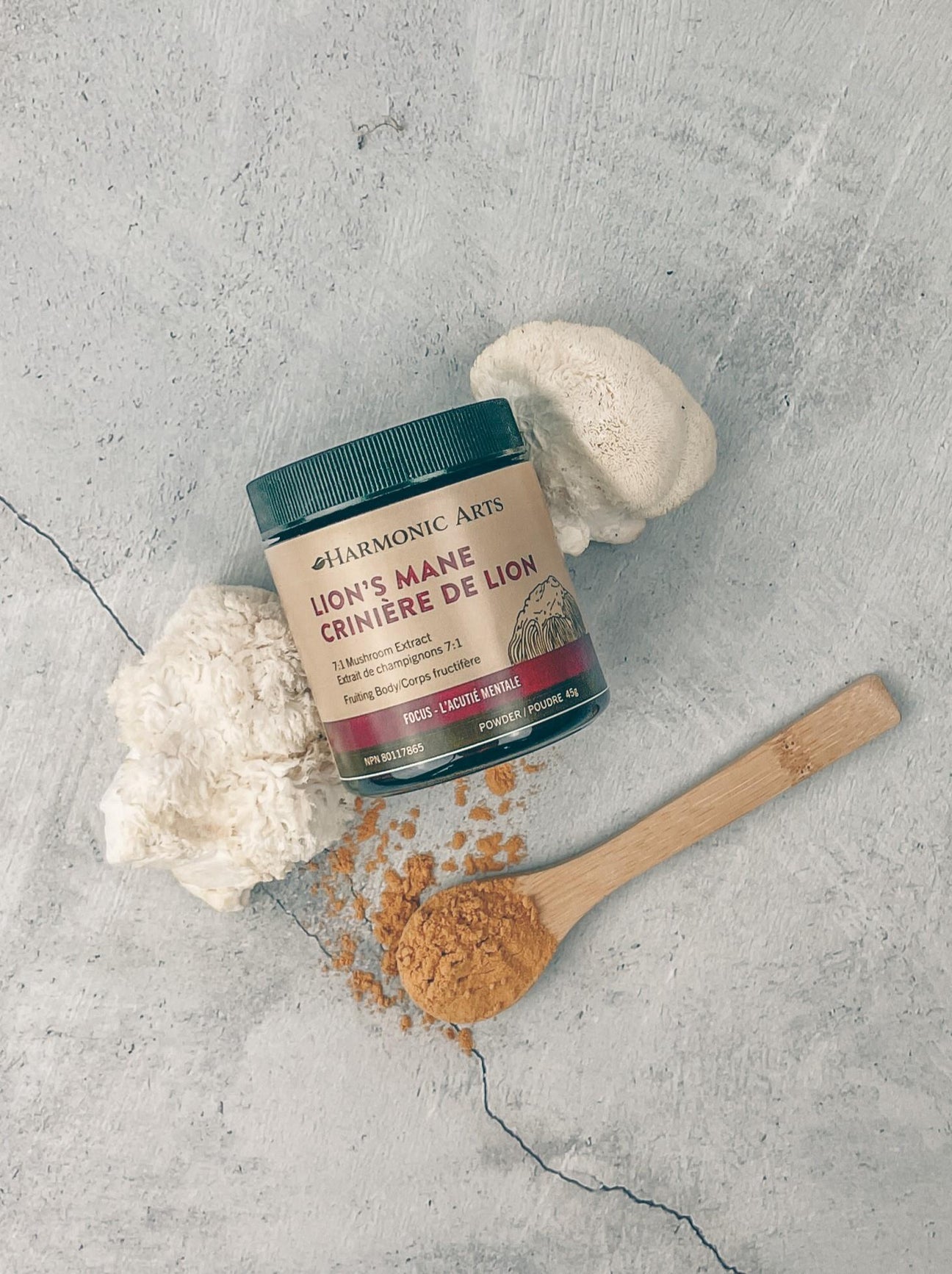 Lion's Mane Mushroom Powder - Build Resilience for Body & Mind ...