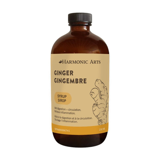 Ginger Syrup - Boost Digestion & Soothe Inflammation – Harmonic Arts